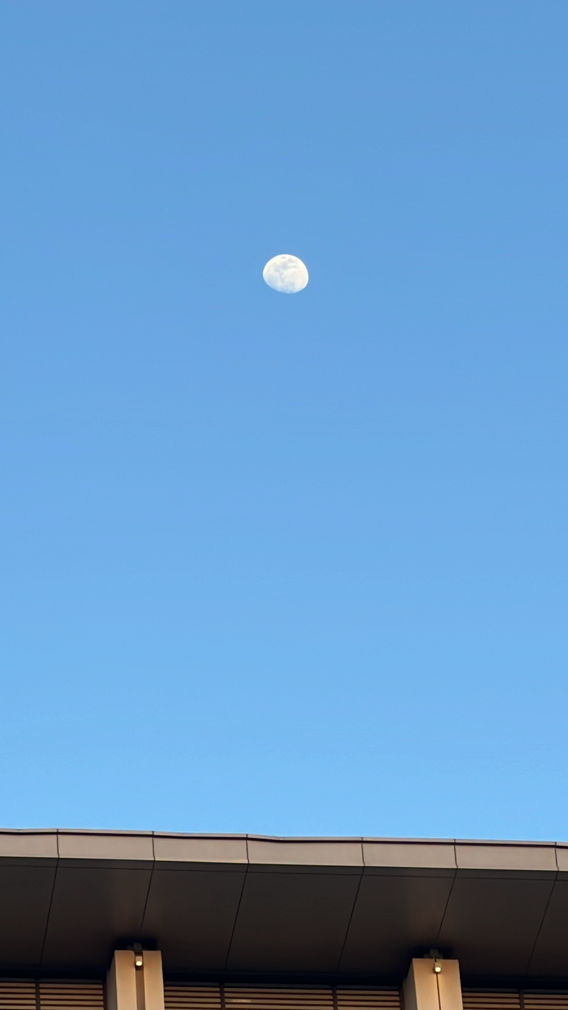 Yoocasta | Talent details