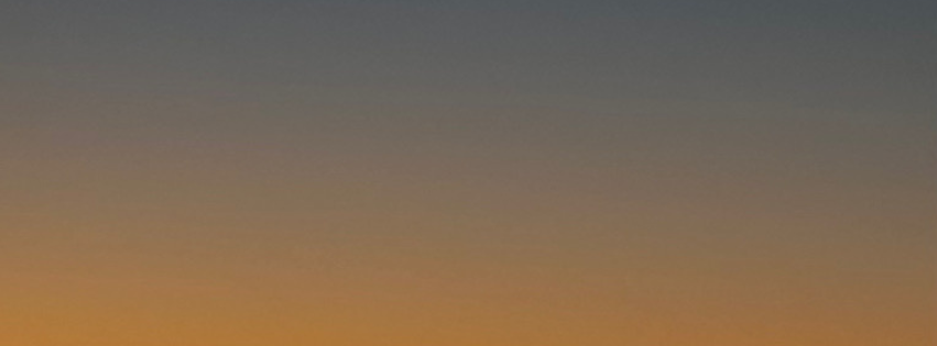 Yoocasta | Talent details